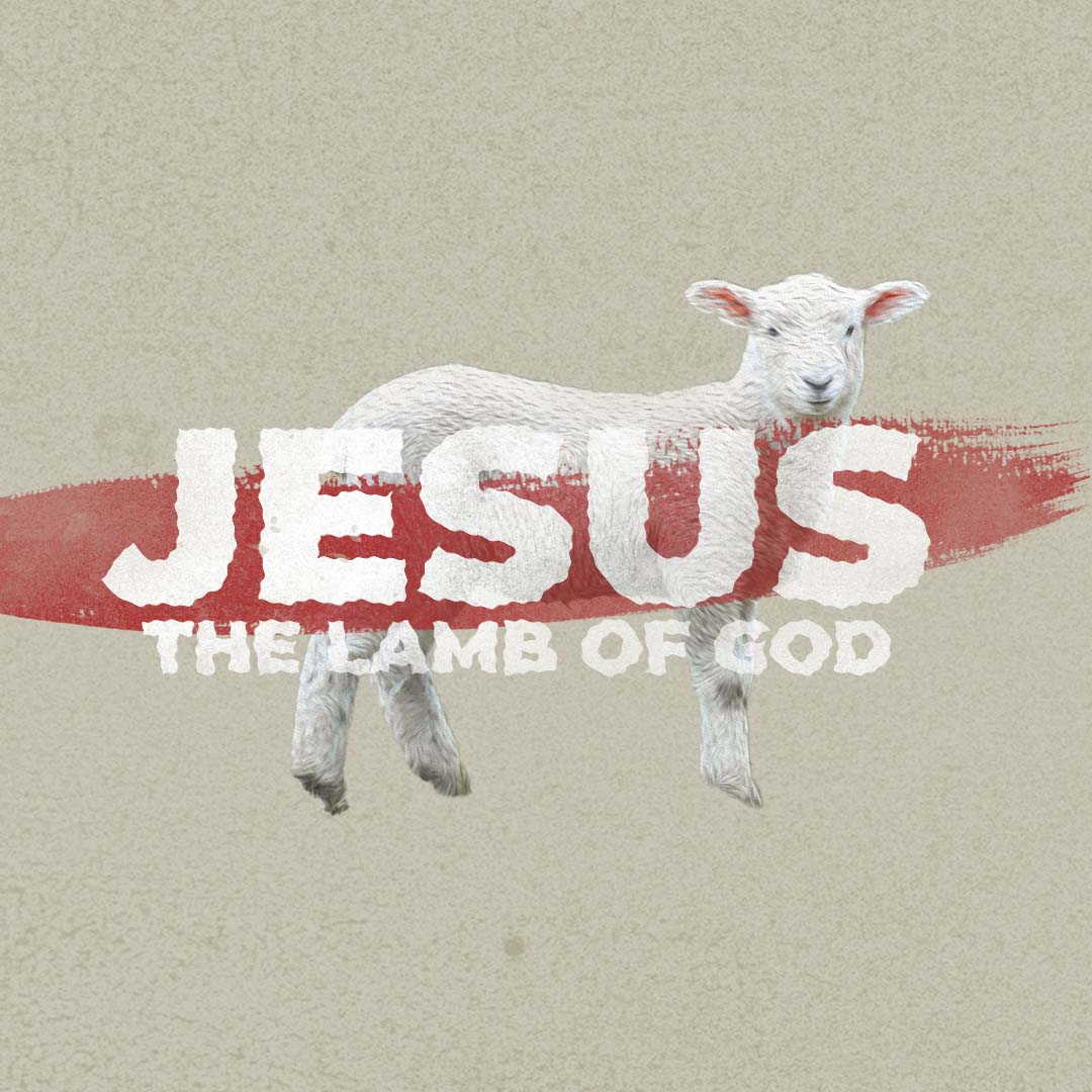 Jesus the Lamb of God Square | Jewel City Church